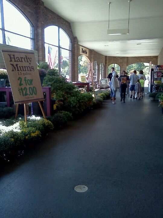 Wegmans Corning Ny 14830 8204