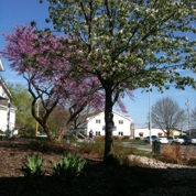 Sump Memorial Library 222 N Jefferson St, Papillion, NE 68046 ...