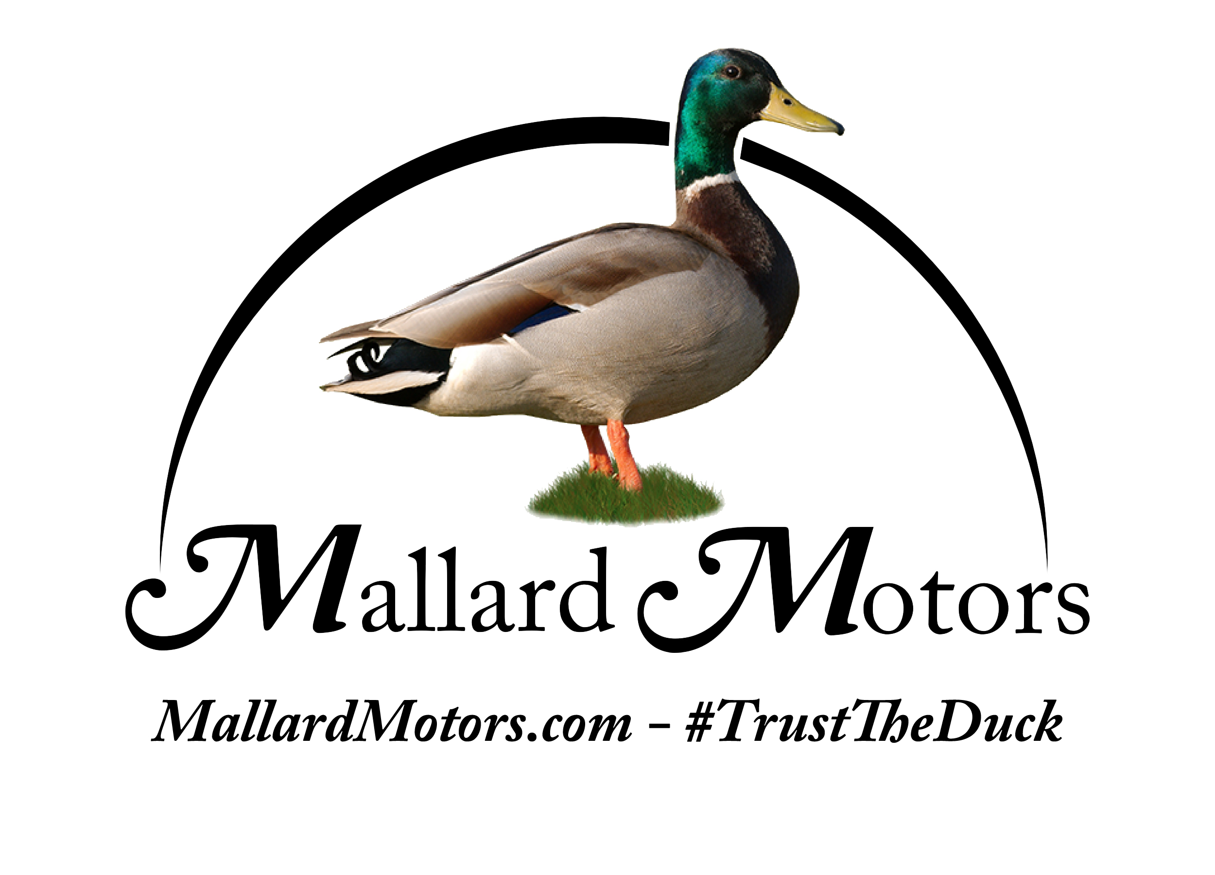 Mallard Motors - El Dorado, AR 71730