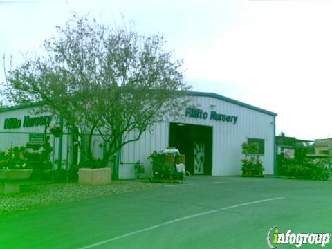 Rillito Nursery & Garden Center | Tucson, AZ 85741 | DexKnows.com