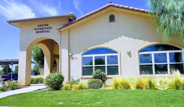 Exeter Veterinary Hospital - Exeter, CA 93221