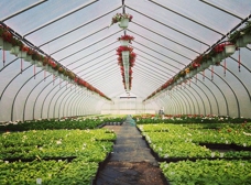 Gasko's Family Farms - Monroe Township, NJ 08831