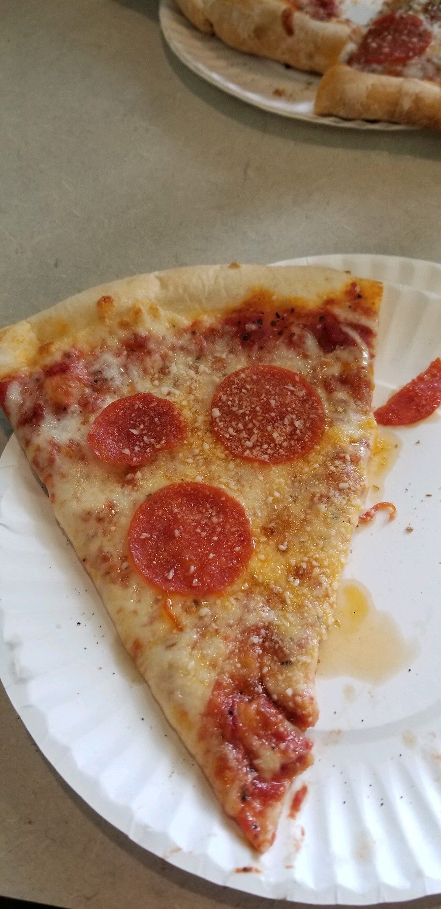 Beach Pizza Plus - Redington Shores, FL 33708