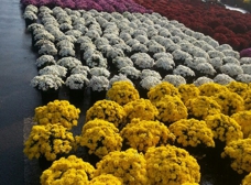 Gasko's Family Farms - Monroe Township, NJ 08831