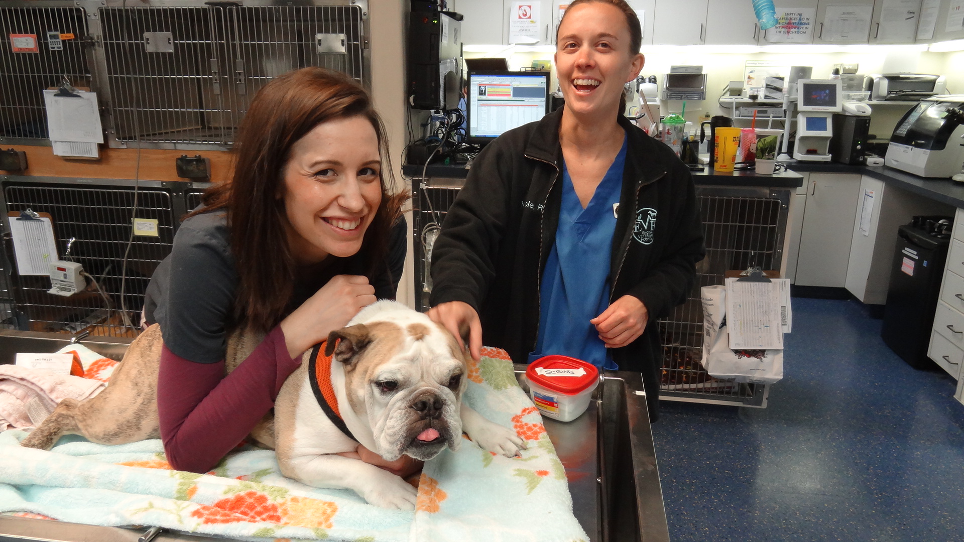 VCA Encina Veterinary Hospital - Walnut Creek, CA 94598