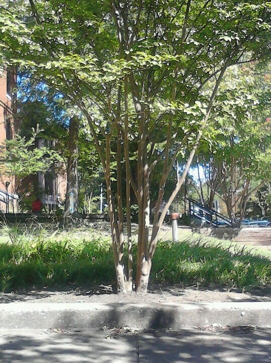 Idlewild Elementary School - Memphis, TN 38104