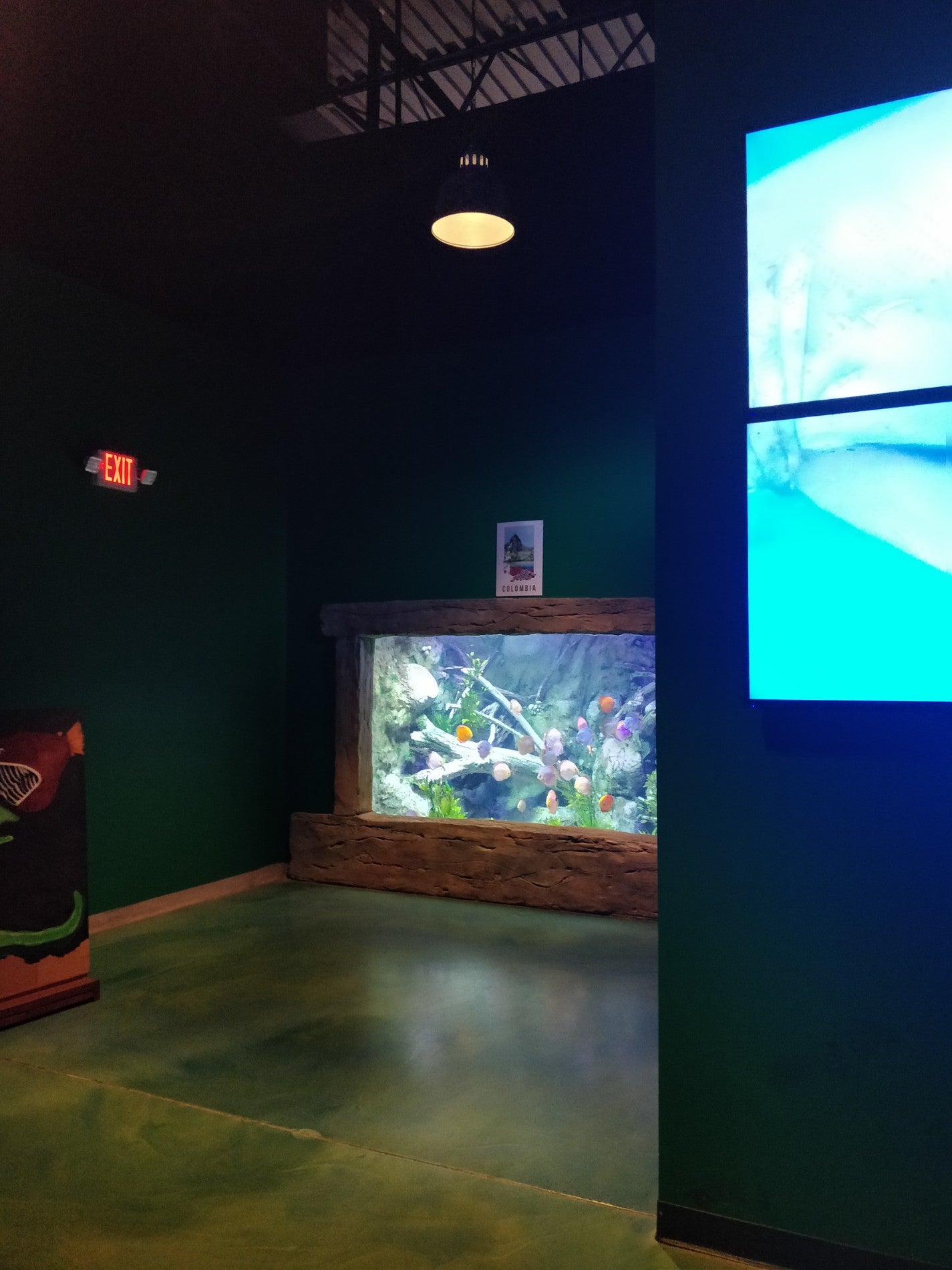 via-aquarium-schenectady-ny-12306