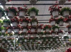Gasko's Family Farms - Monroe Township, NJ 08831